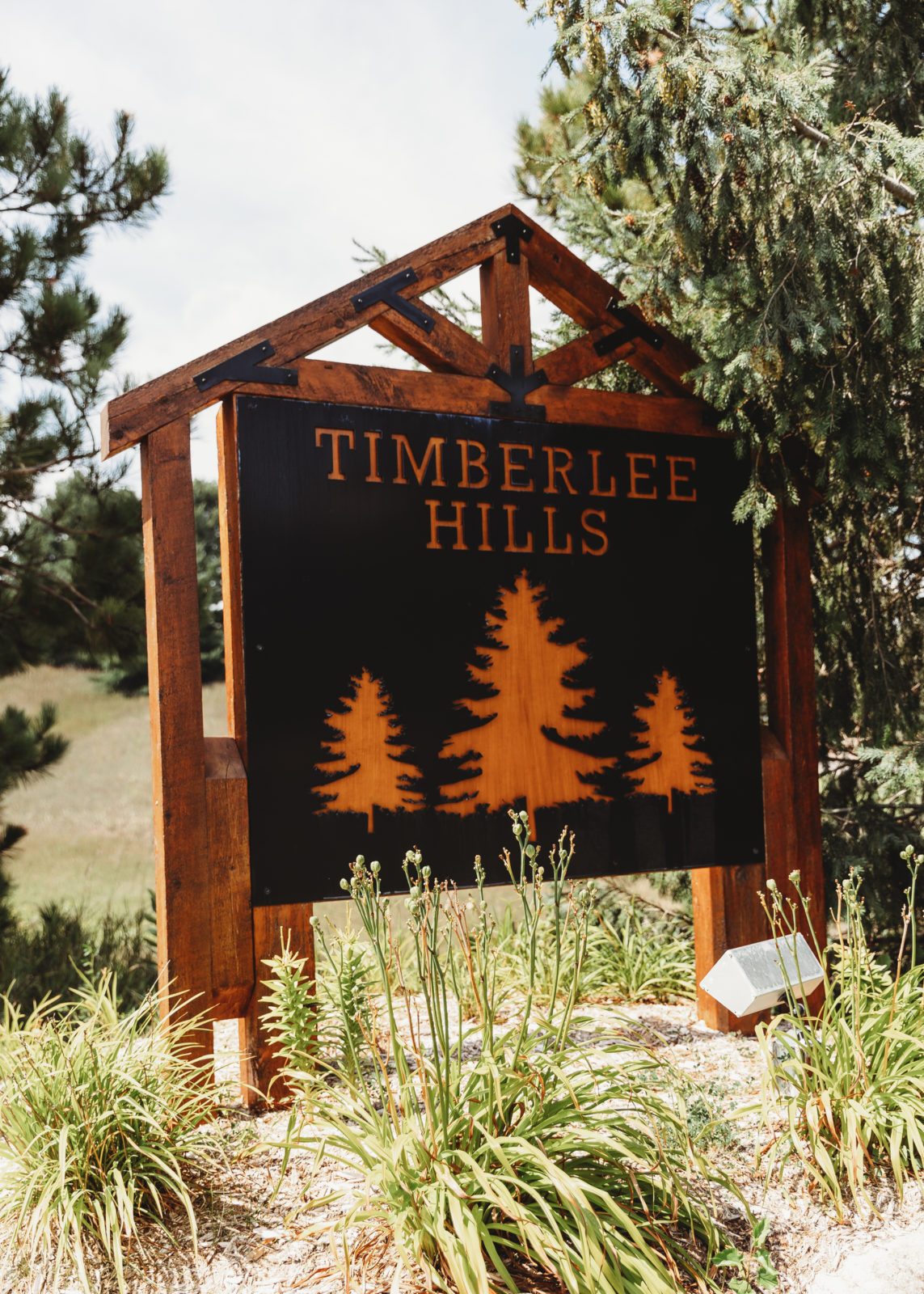 Traverse City Wedding at Timberlee Hills | Lindsay Elaine